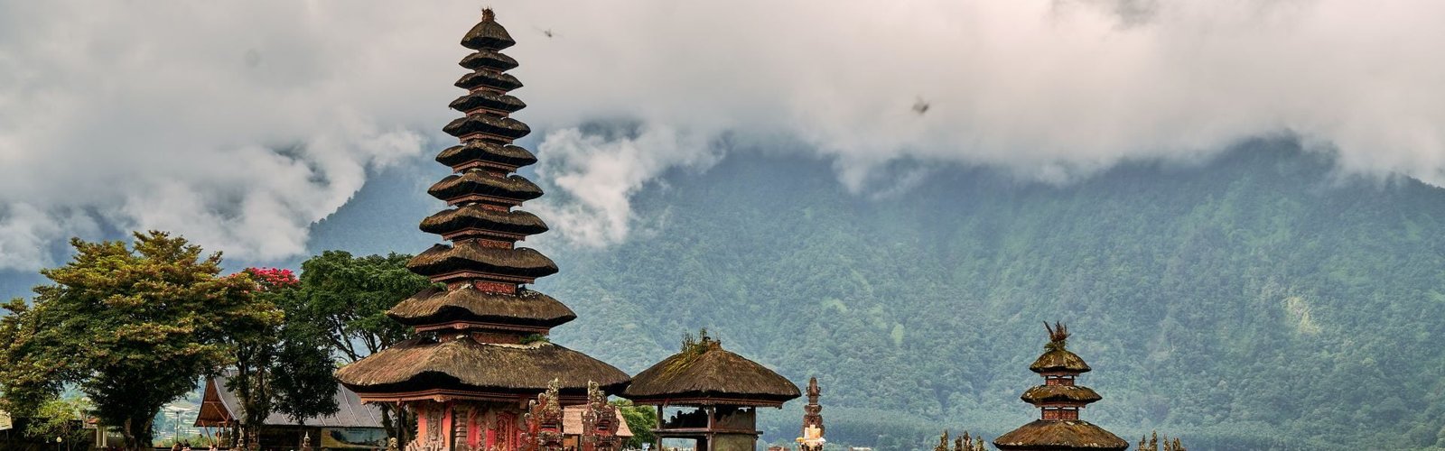 BEDUGUL TOUR – Raisbalitour